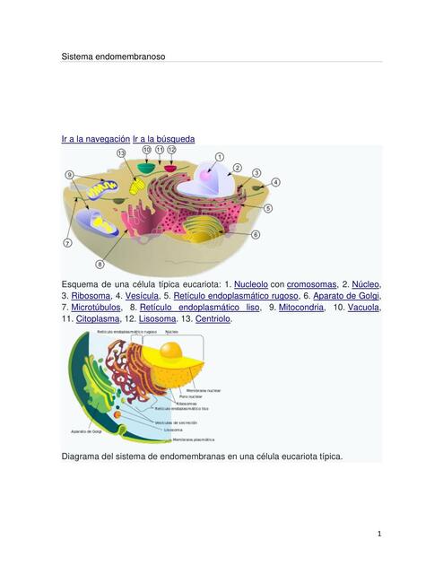 Sistema Endomembranoso | juan pablo prieto | uDocz