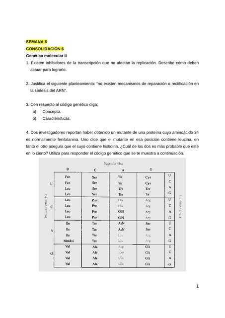 Morfo 1┃Consolidacion┃Semana 6 | Ysaac Garcia | uDocz