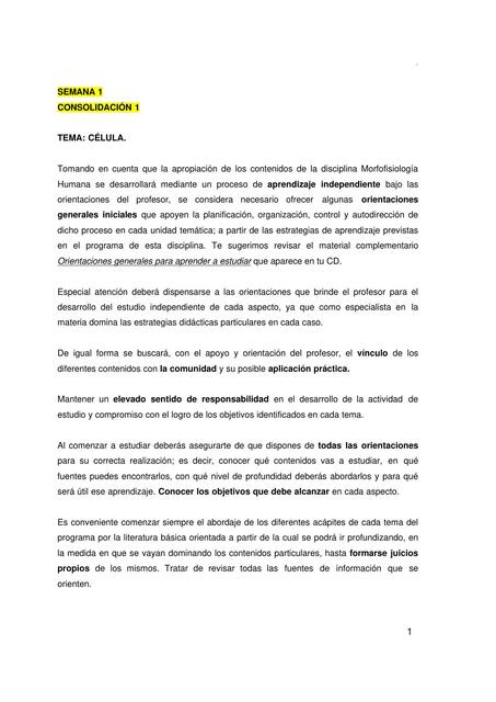 Morfo 1┃Consolidacion┃Semana 1 | Ysaac Garcia | uDocz