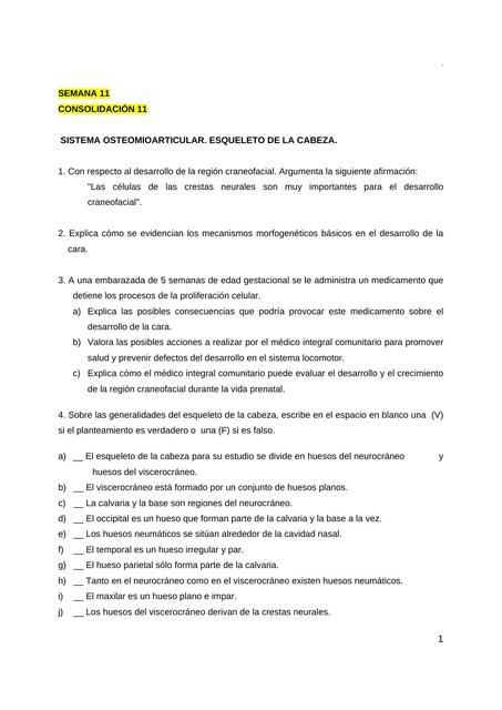 Morfo 1┃Consolidación┃Semana 11 | Ysaac Garcia | uDocz
