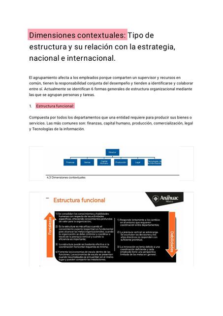 Clase 15 y 17 Dimensiones contextuales | Sandra Cruz | uDocz