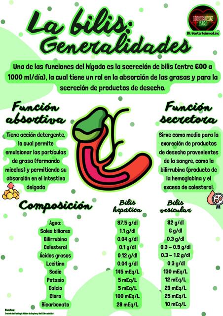 Generalidades de la Bilis | EntertainMed.Inc | uDocz