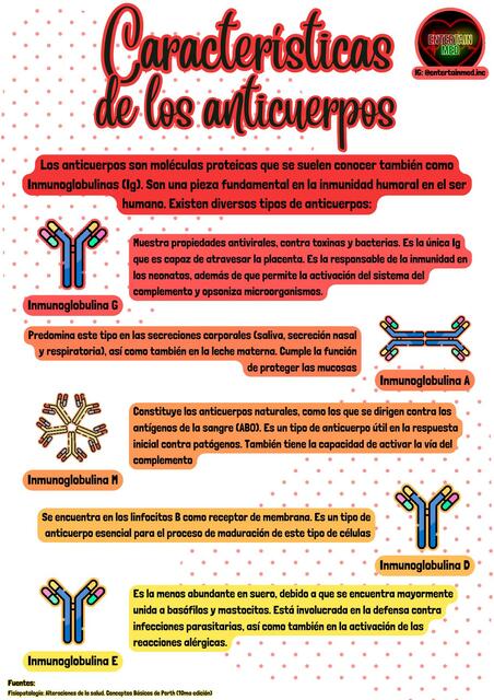 Características de los Anticuerpos | EntertainMed.Inc | uDocz
