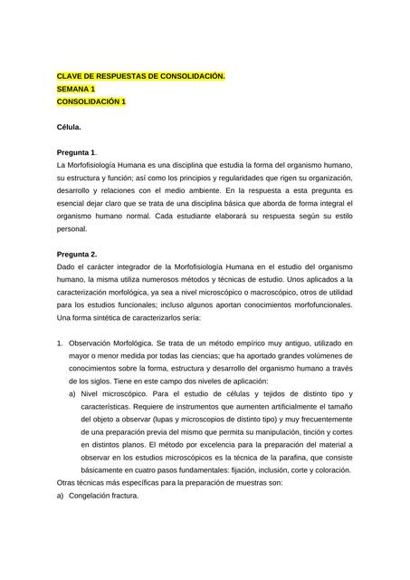 Respuestas Consolidacion┃Semana 1┃Morfo 1 | Ysaac Garcia | uDocz