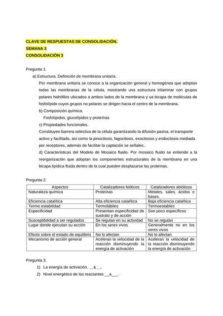 Respuestas Consolidacion┃Semana 3┃Morfo 1 | Ysaac Garcia | uDocz