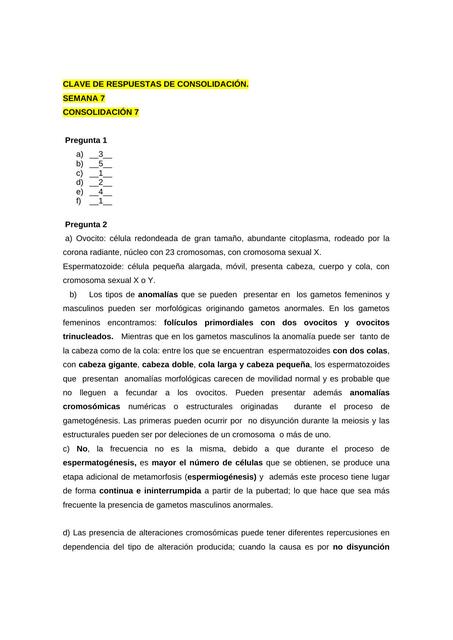 Respuestas Consolidacion┃Semana 7┃Morfo 1 | Ysaac Garcia | uDocz