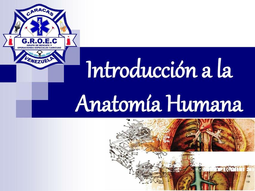 Introducción a la Anatomía Humana | Enfermería | uDocz