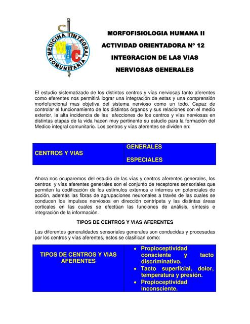 Integración de las Vías Nerviosas Generales┃AO12┃Morfo 2 | Ysaac Garcia | uDocz