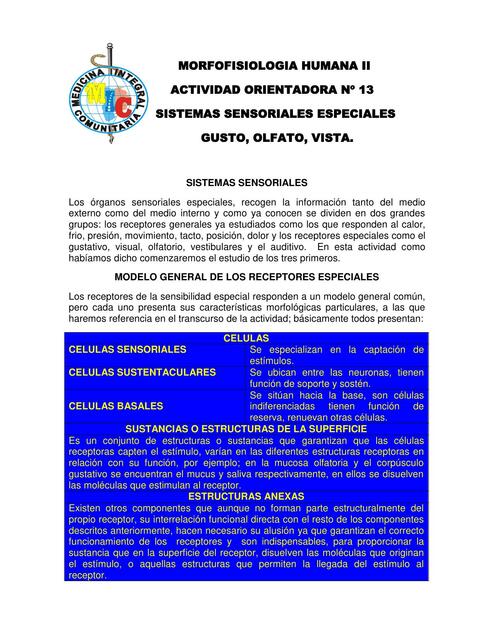 Sistemas Sensoriales Especiales┃AO13┃Morfo 2 | Ysaac Garcia | uDocz