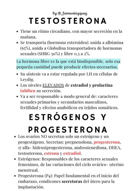 Síntesis testosterona, estrógeno y progesterona | Fiama | uDocz