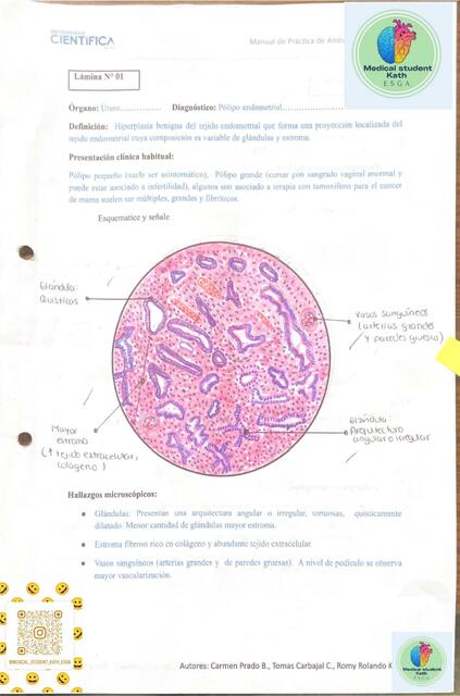 Anatopatología II 10 | Medical student Kath ESGA🩺☀️ | uDocz