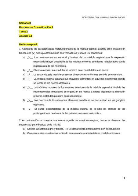 Médula espinal┃Consolidacion 3┃Morfo 2 | Ysaac Garcia | uDocz