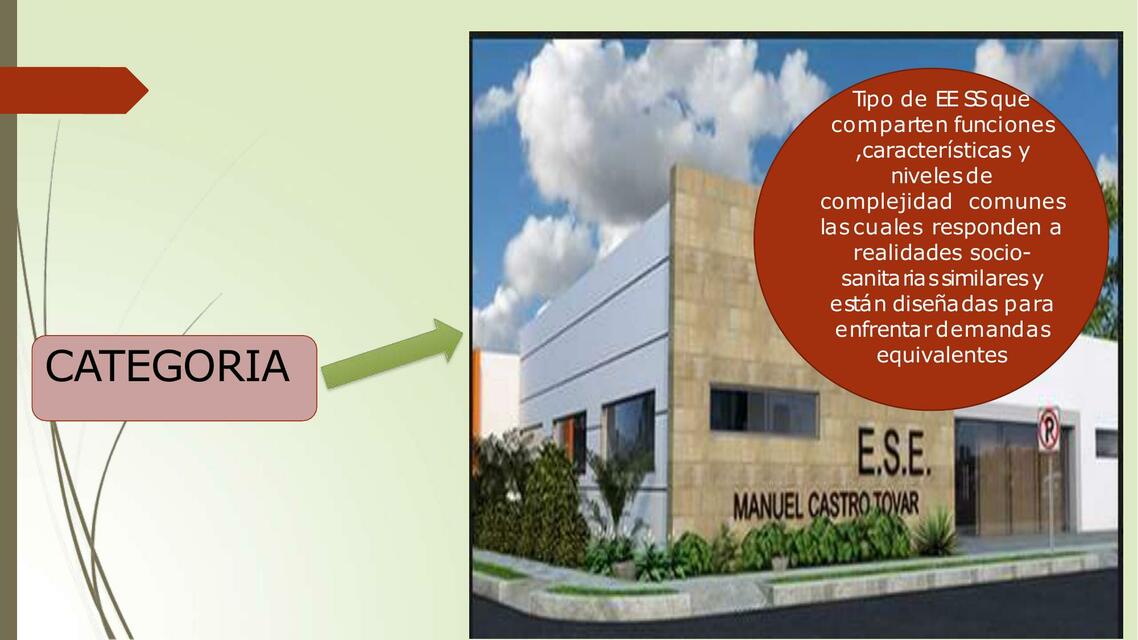 Categorización de los EESS | Piero Vega | uDocz