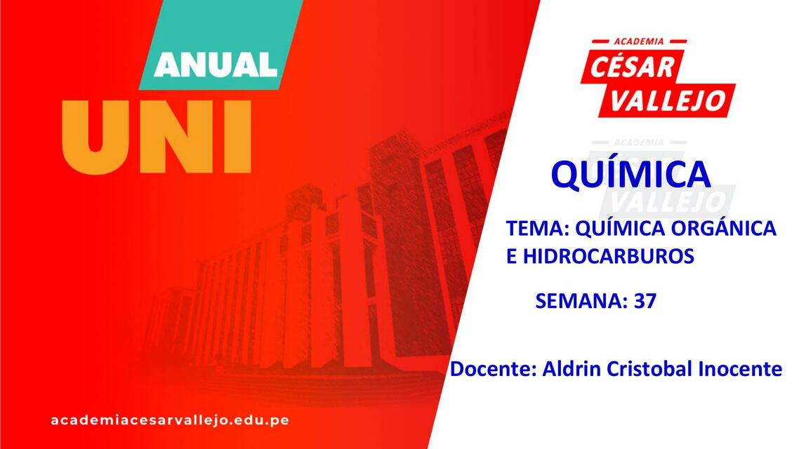 Química Química Orgánica Udocz