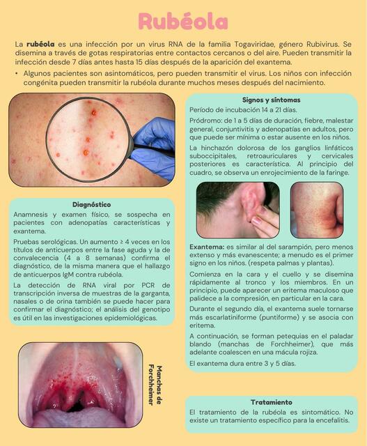 Rubeola | Javier Rios | uDocz