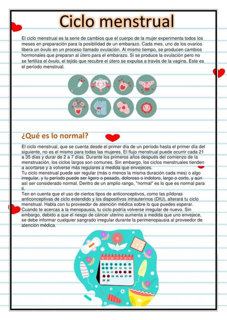 Flashcards de Ciclo Menstrual | Por gabriela chavez | uDocz