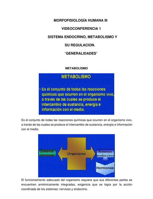 Sistema Endocrino-Metabolismo┃AO1┃Morfo 3 | Ysaac Garcia | uDocz