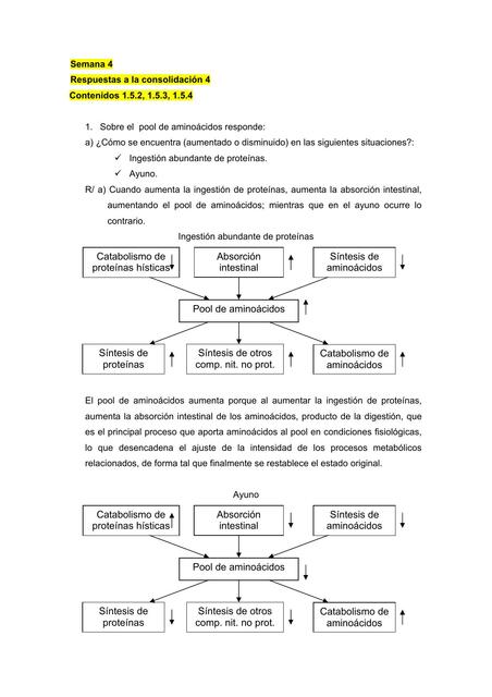 Consolidación┃Orientadora 5┃Morfo 3 | Ysaac Garcia | uDocz