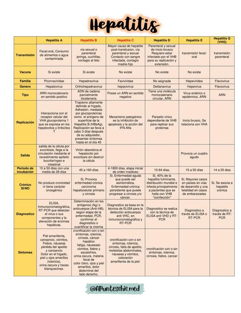 Tipos de Hepatitis | Jessica Alvarez | uDocz