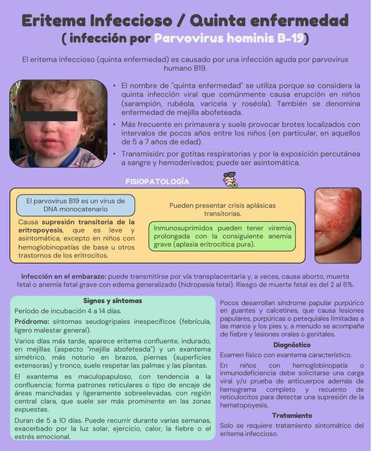 Eritema Infeccioso / Quinta enfermedad / Parvovirus B19 | Javier Rios ...