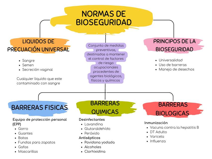 Normas de bioseguridad | Valeria Sanchez | uDocz
