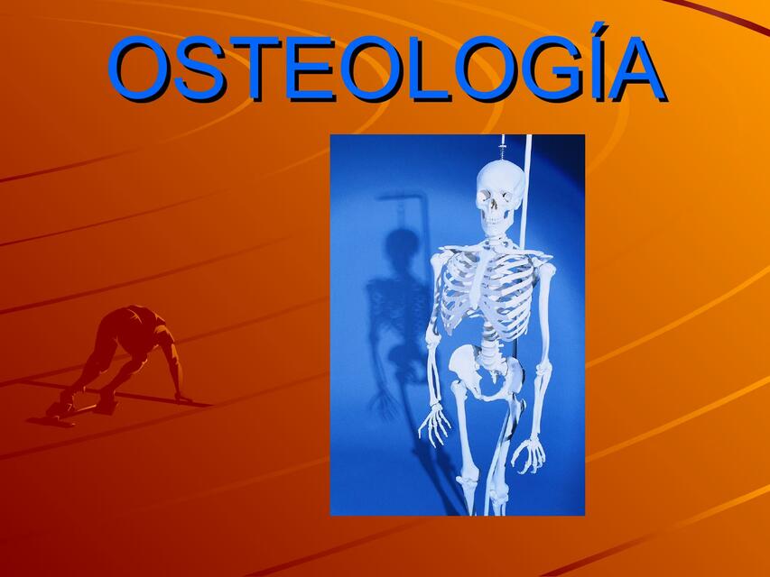 Osteología | Full ciencia | uDocz