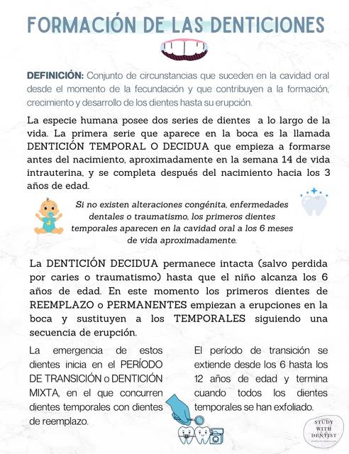 Formación de las Denticiones (síntesis) APUNTE | uDocz creators | uDocz