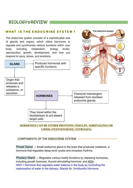 Biology test review | Melanie Alvarez | uDocz