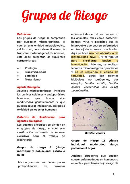 Grupos de Riesgo en el Labororatorio | uDocz