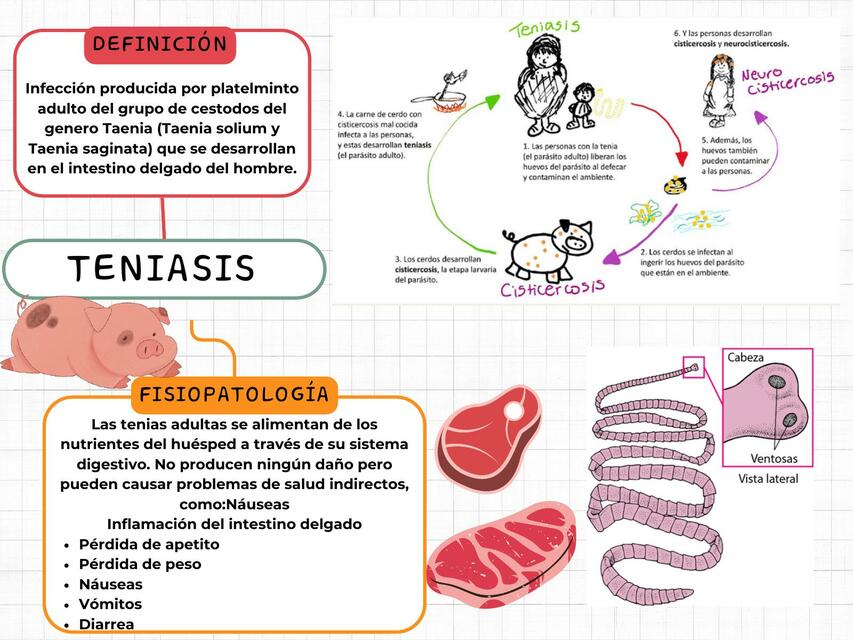 Amibiasis y Teniasis | Sánchez Castillo Eunice | uDocz