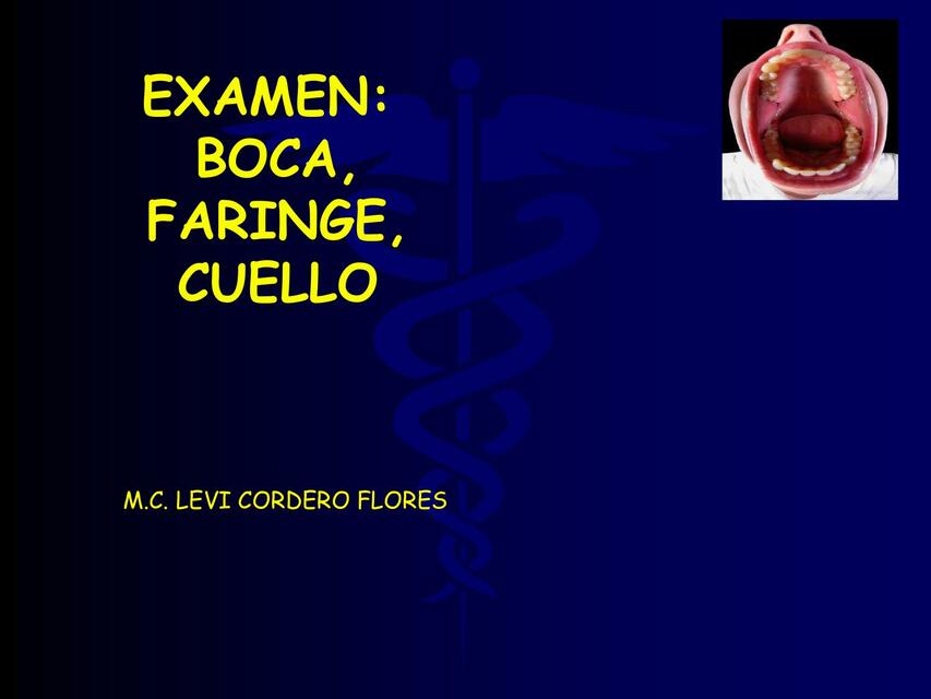 Examen: Boca, Faringe, Cuello | Mishelle Chavez | uDocz