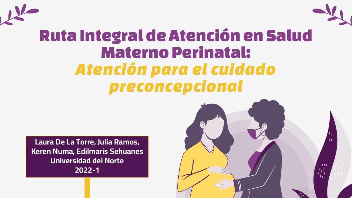 Atención para el Cuidado Preconcepcional | sharina cruz | uDocz