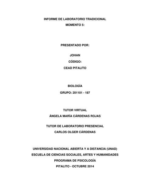 Informe de Laboratorio Tradicional | johann enciso | uDocz