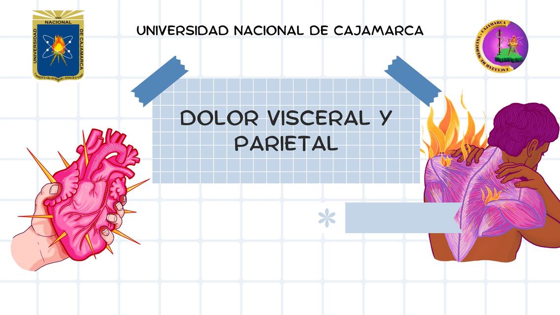 Dolor visceral y parietal | F.E.D | uDocz