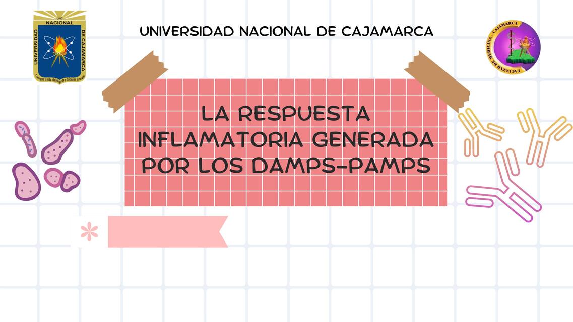 Resúmenes de PAMP y DAMP | Descarga apuntes de PAMP y DAMP