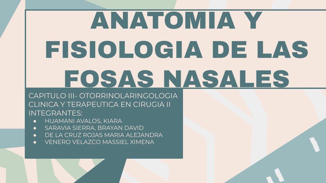 Anatomía y fisiología de las fosas nasales | Kiara Huamaní Avalos | uDocz