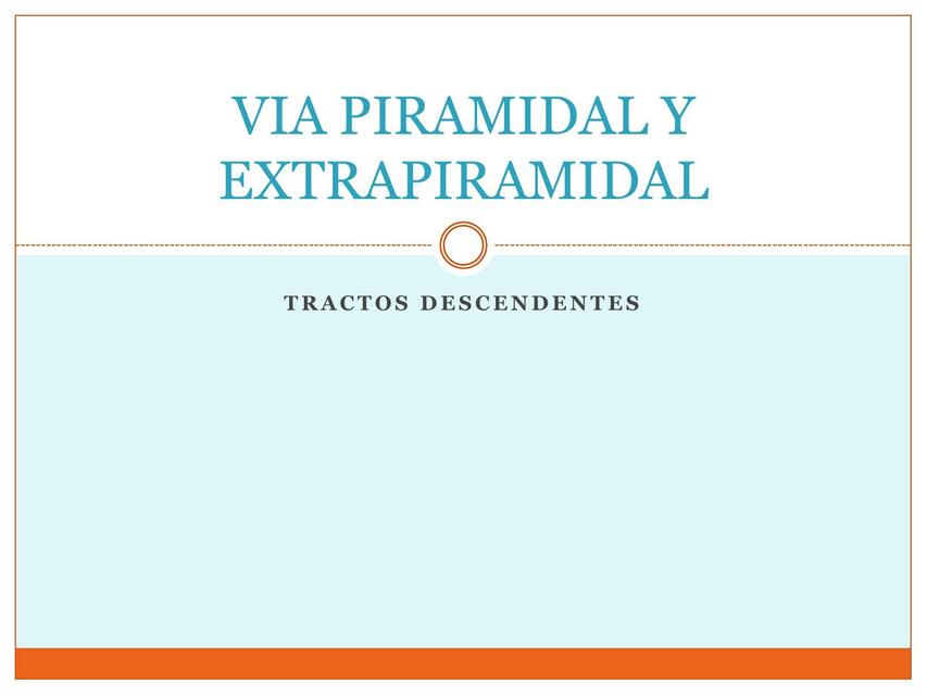 Vía motora piramidal y extrapiramidal | bioanatomia | uDocz