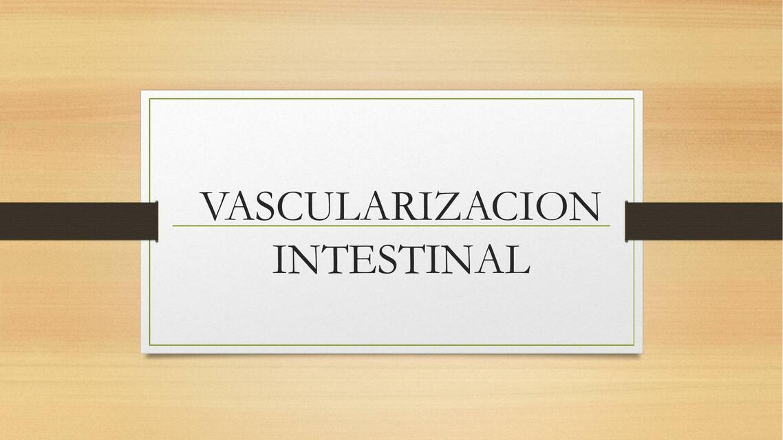 Vascularización Intestinal | Ediluis | uDocz