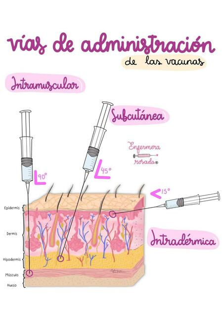 Vía de administración de las vacunas | Enfermería | uDocz