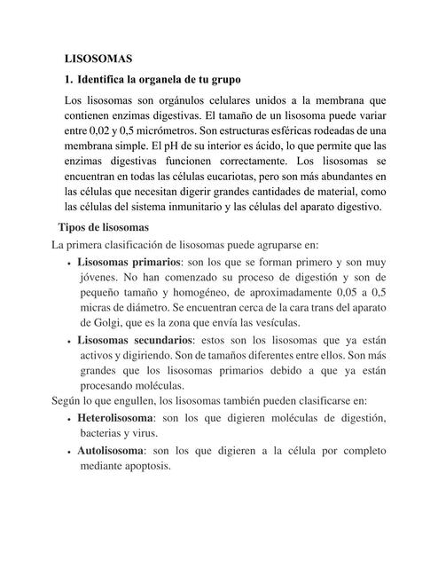 Lisosomas | kjhhijgbkj | uDocz