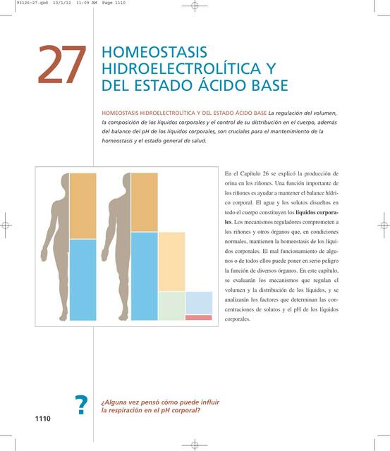 Flashcards de Homeostasis Hidroelectrolítica y Del Estado ácido base ...