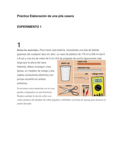 Práctica Elaboración de una pila casera | Brayan Villanueva Galindo | uDocz