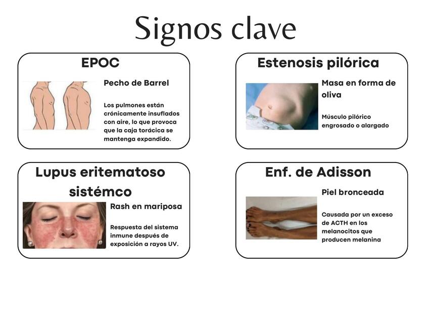 Signos clave de enfermedades | Iván Ayala Collado | uDocz