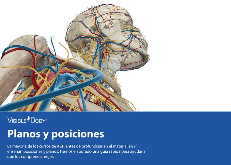 Planos y Posiciones | Valeria Alejandra Loja Zapata | uDocz