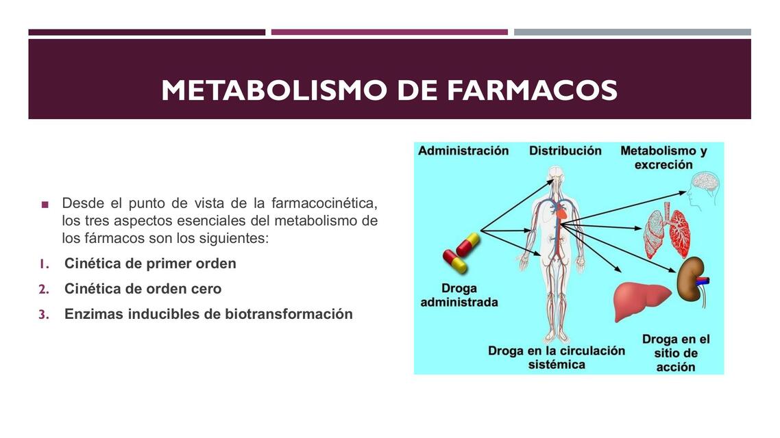 Metabolismo de fármacos | @CUIDADO.MEDICO | uDocz Metabolismo de fármacos | @CUIDADO.MEDICO | uDocz
