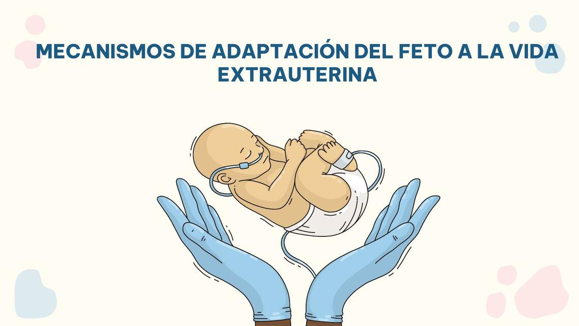 Adaptación feto a la vida extrauterina | Henry Maldonado Gutiérrez | uDocz