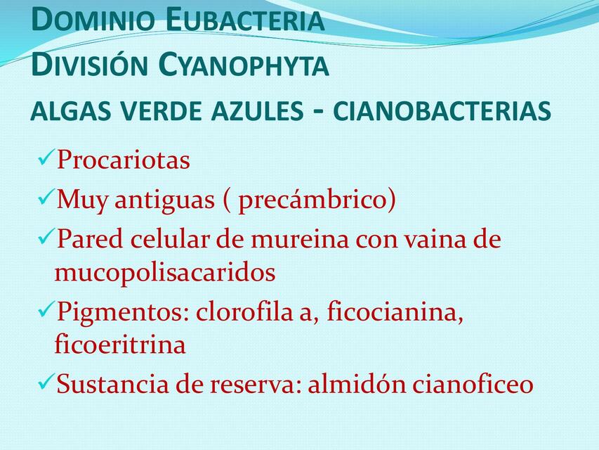 Algas Sara Tuma Udocz