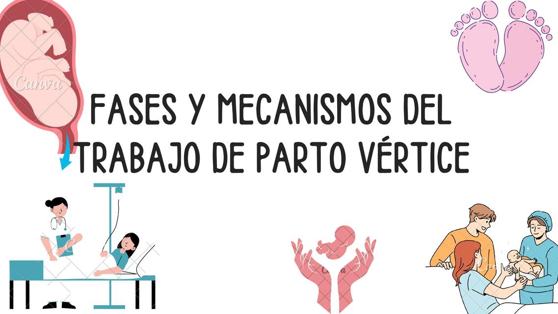 Fases Clínicas del Trabajo de Parto | Lupita | uDocz
