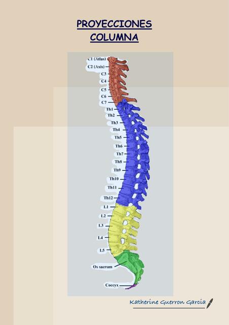 PROYECCIONES DE COLUMNA TOTAL | Katherine Guerron | uDocz