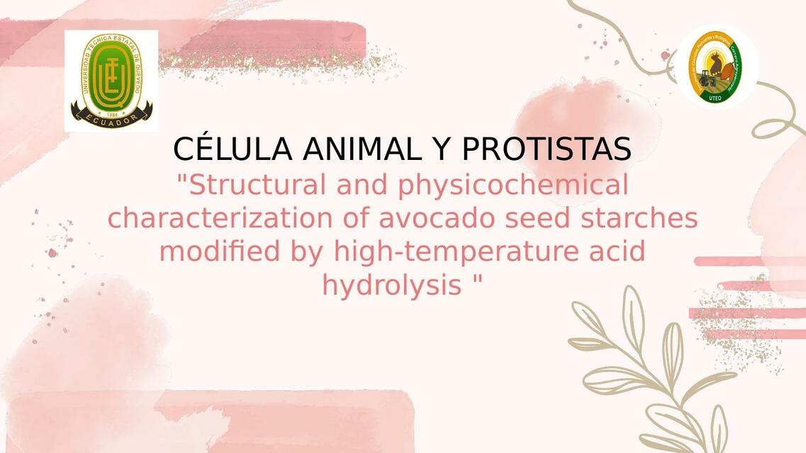 Partes de la Célula Animal y sus Funciones | Anais Torres | uDocz